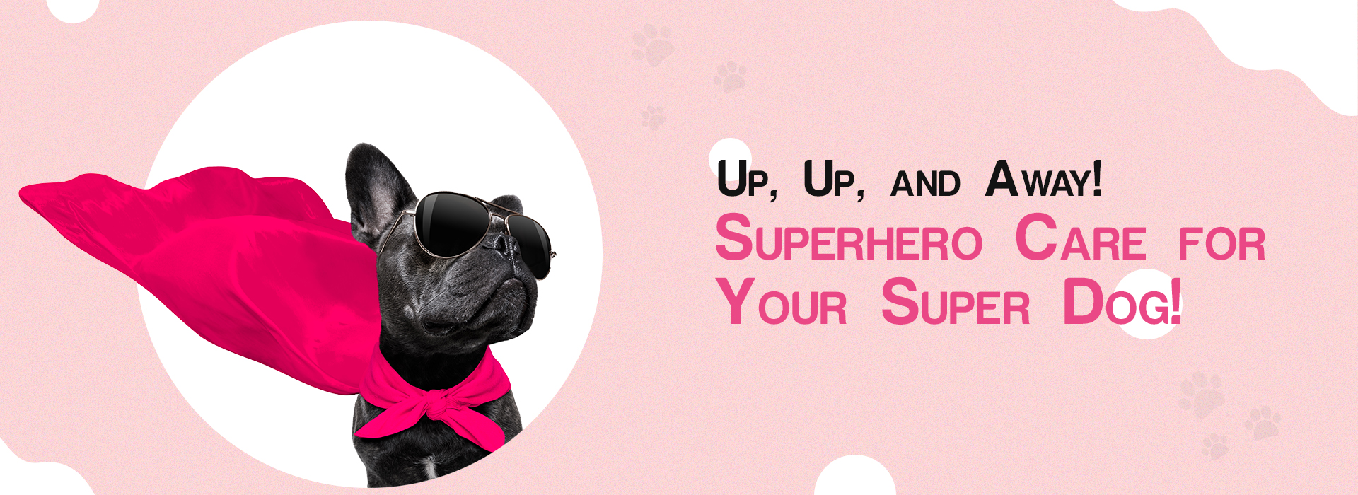 Enavant Petcare | Premium Vet Supplements & Wellness for Pets