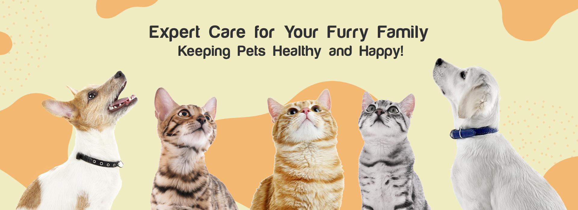 Enavant Petcare Products | Effective Supplements for Happy Healthy Pets